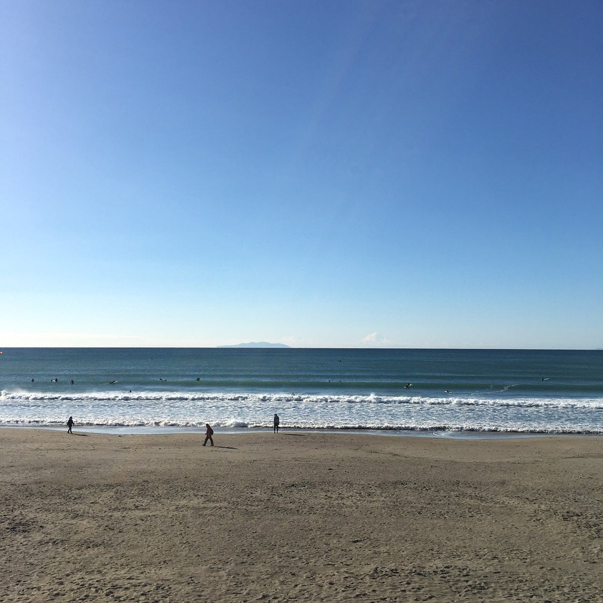 2024年の始まりに – アピスとドライブ